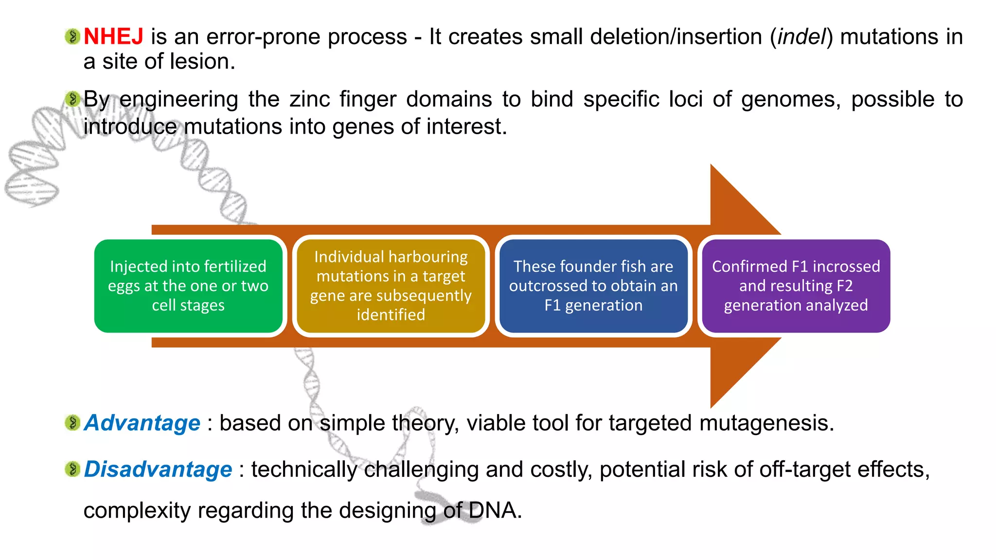 Reverse genetics | PPTX