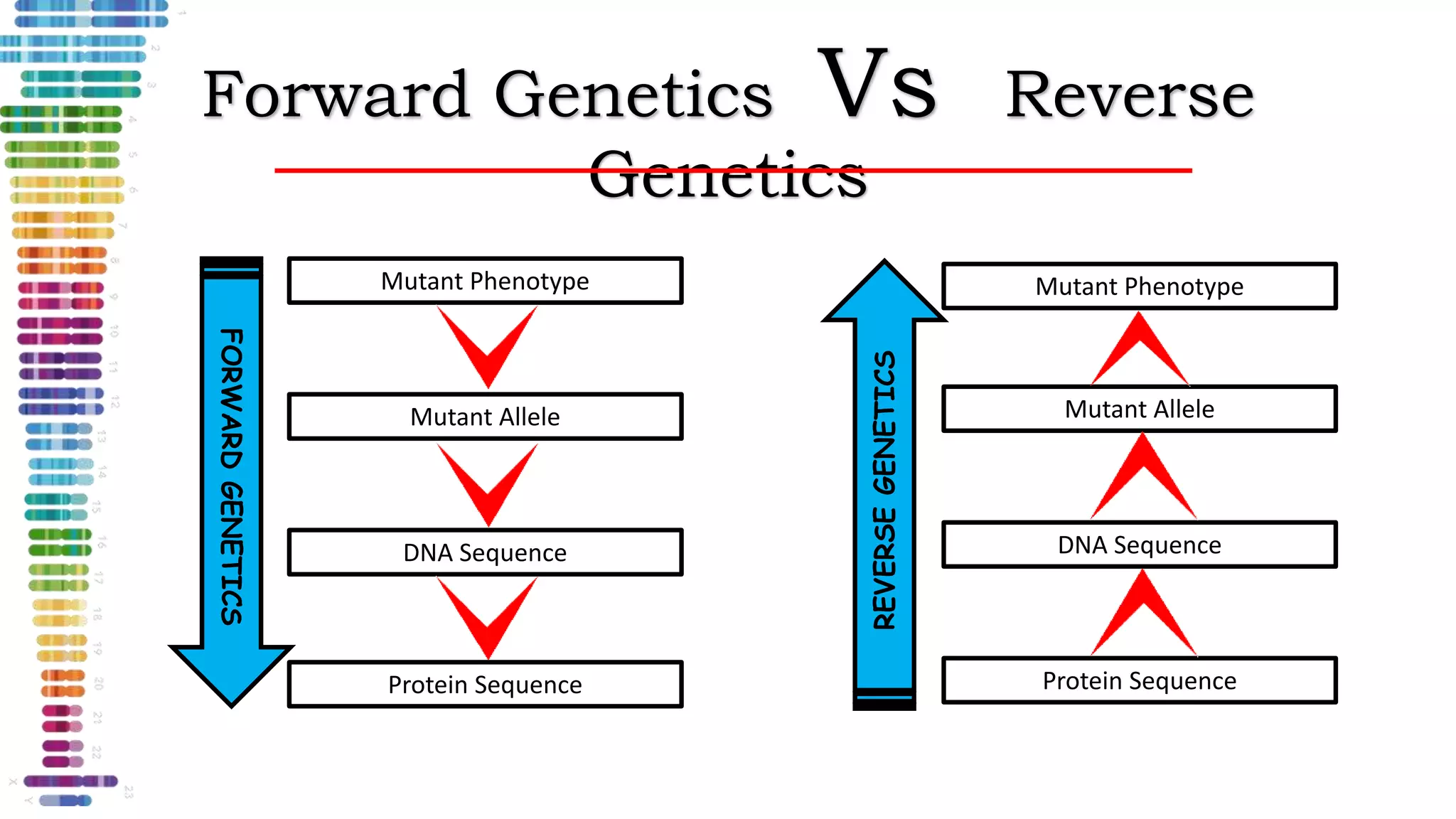 Reverse genetics | PPTX