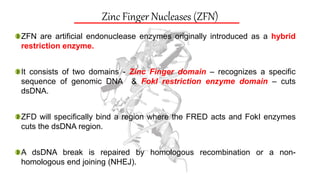 Reverse genetics | PPTX