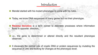 Reverse genetics | PPTX