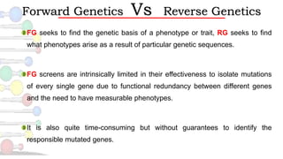 Reverse genetics | PPTX