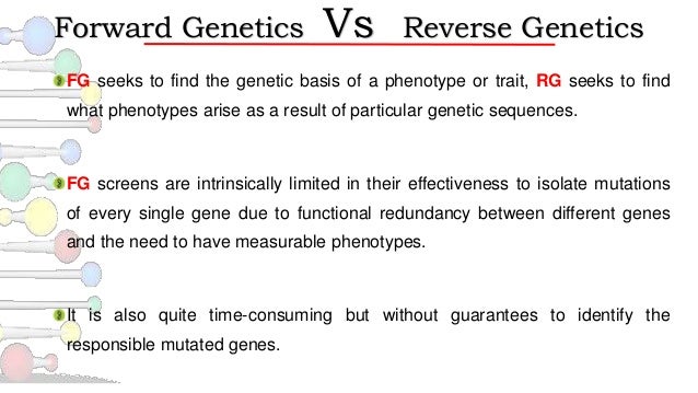 Reverse genetics