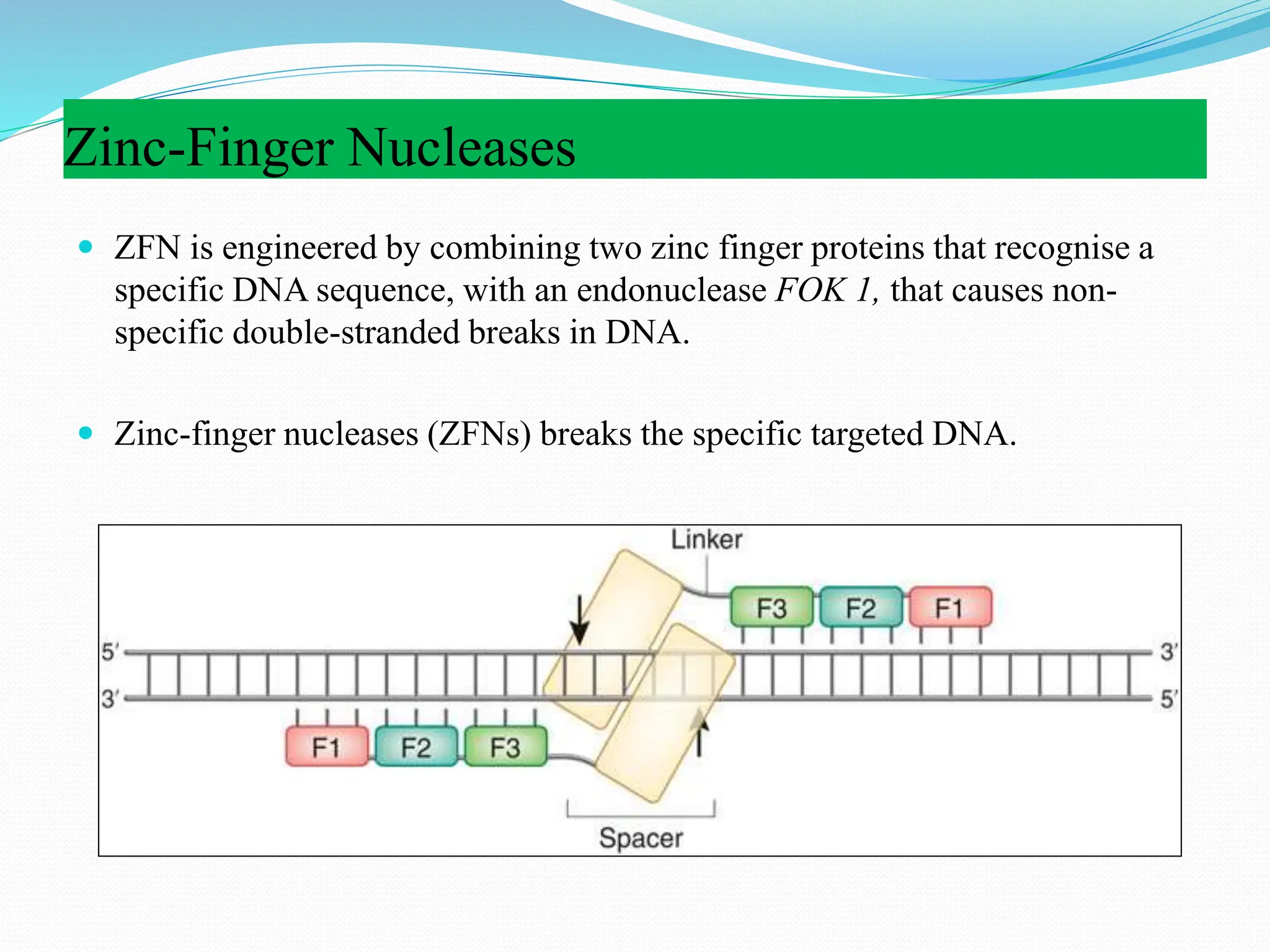 Reverse genetics Approaches in Crop.pptx