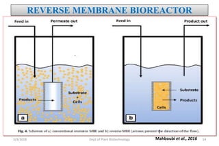 Reverse membrane bioreactor seminar ppt | PPTX | Biotech and Biomedical Industry | Industries