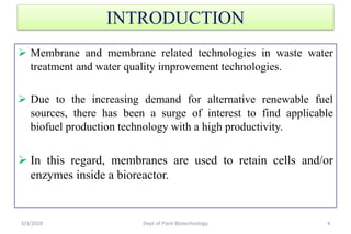 Reverse membrane bioreactor seminar ppt | PPTX | Biotech and Biomedical ...