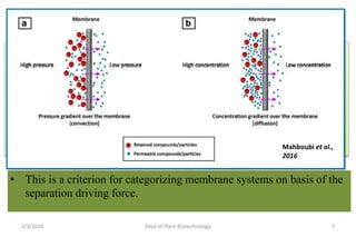 Reverse membrane bioreactor seminar ppt | PPTX | Biotech and Biomedical ...