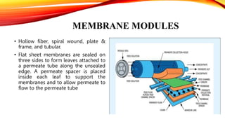 Reverse Osmosis final.pptx