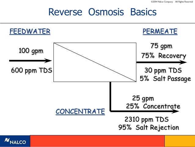 Reverse osmosis module