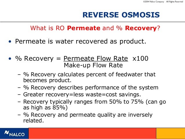 Reverse osmosis module