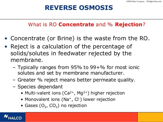 Reverse osmosis module