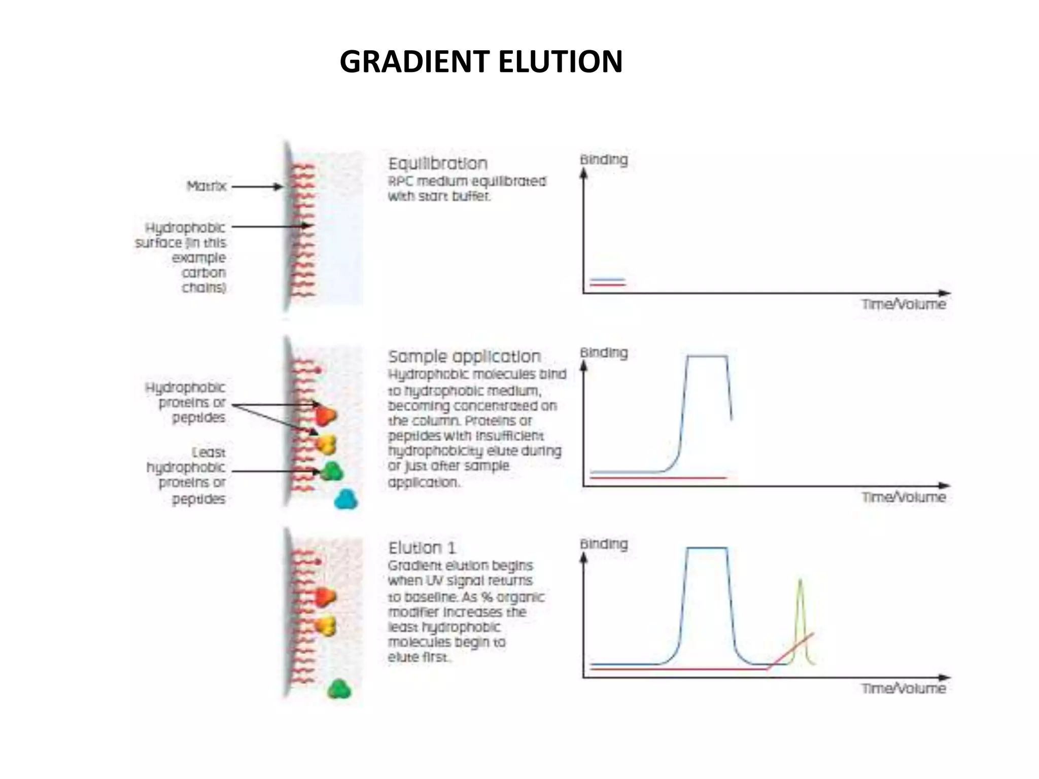 Reverse phase chromatography | PPTX