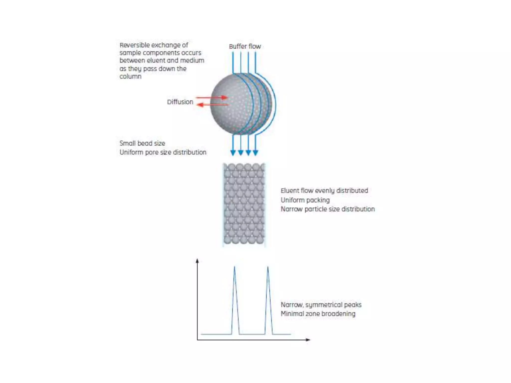 Reverse phase chromatography | PPTX | Chemistry | Science
