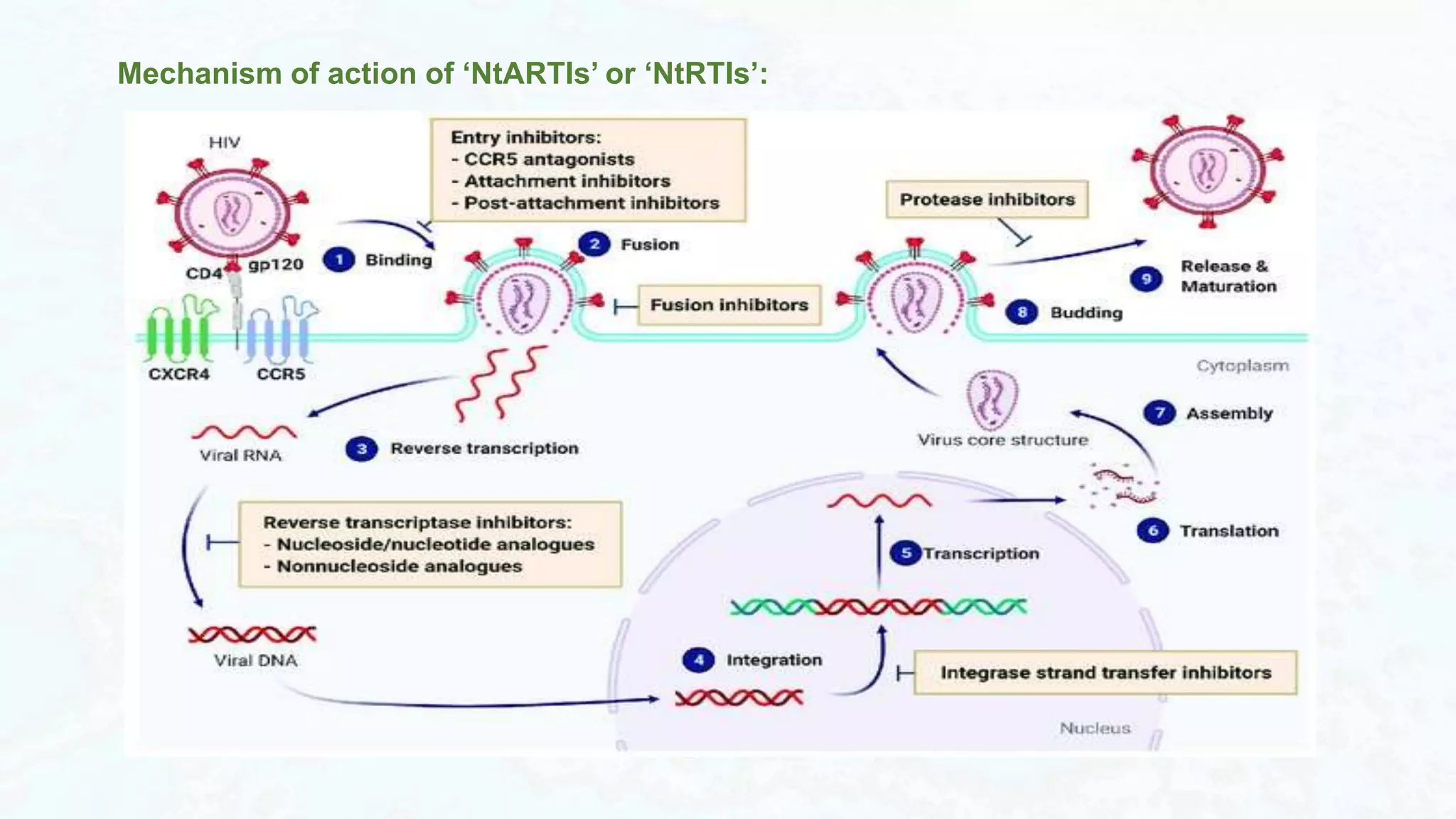 Reverse Transcriptase Inhibitors And Their Resistance Pptx