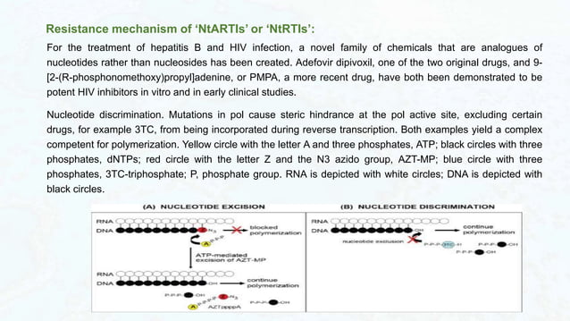 Reverse Transcriptase Inhibitors And Their Resistance Pptx Genetics Science