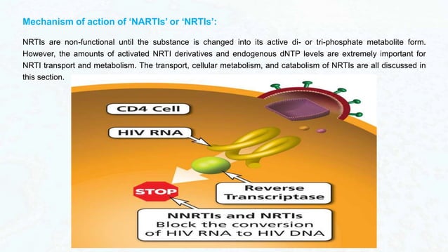Reverse Transcriptase Inhibitors And Their Resistance Pptx Genetics Science
