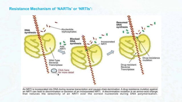 Reverse Transcriptase Inhibitors And Their Resistance Pptx Genetics Science