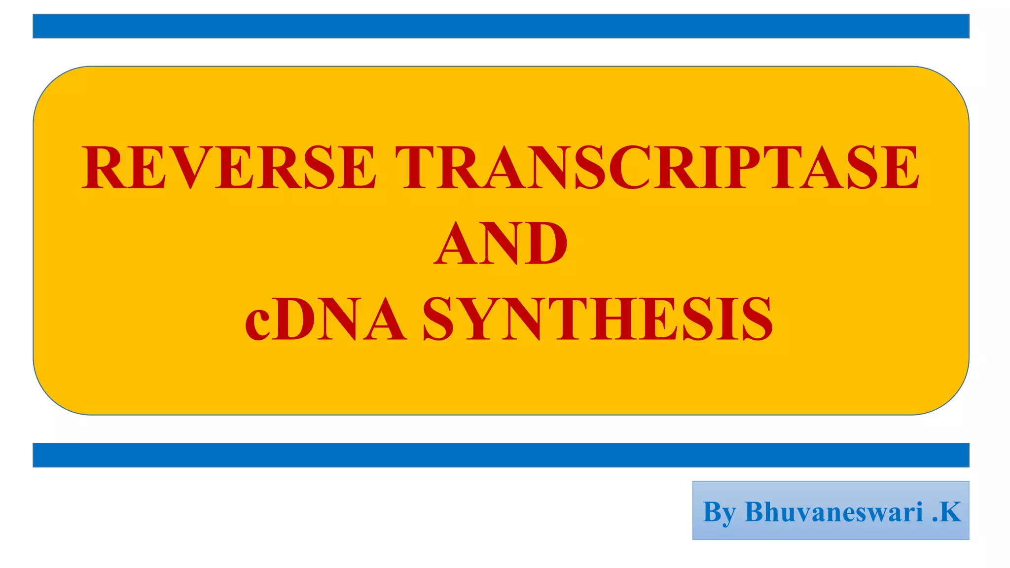 Reverse Transcriptase New Project.pptx