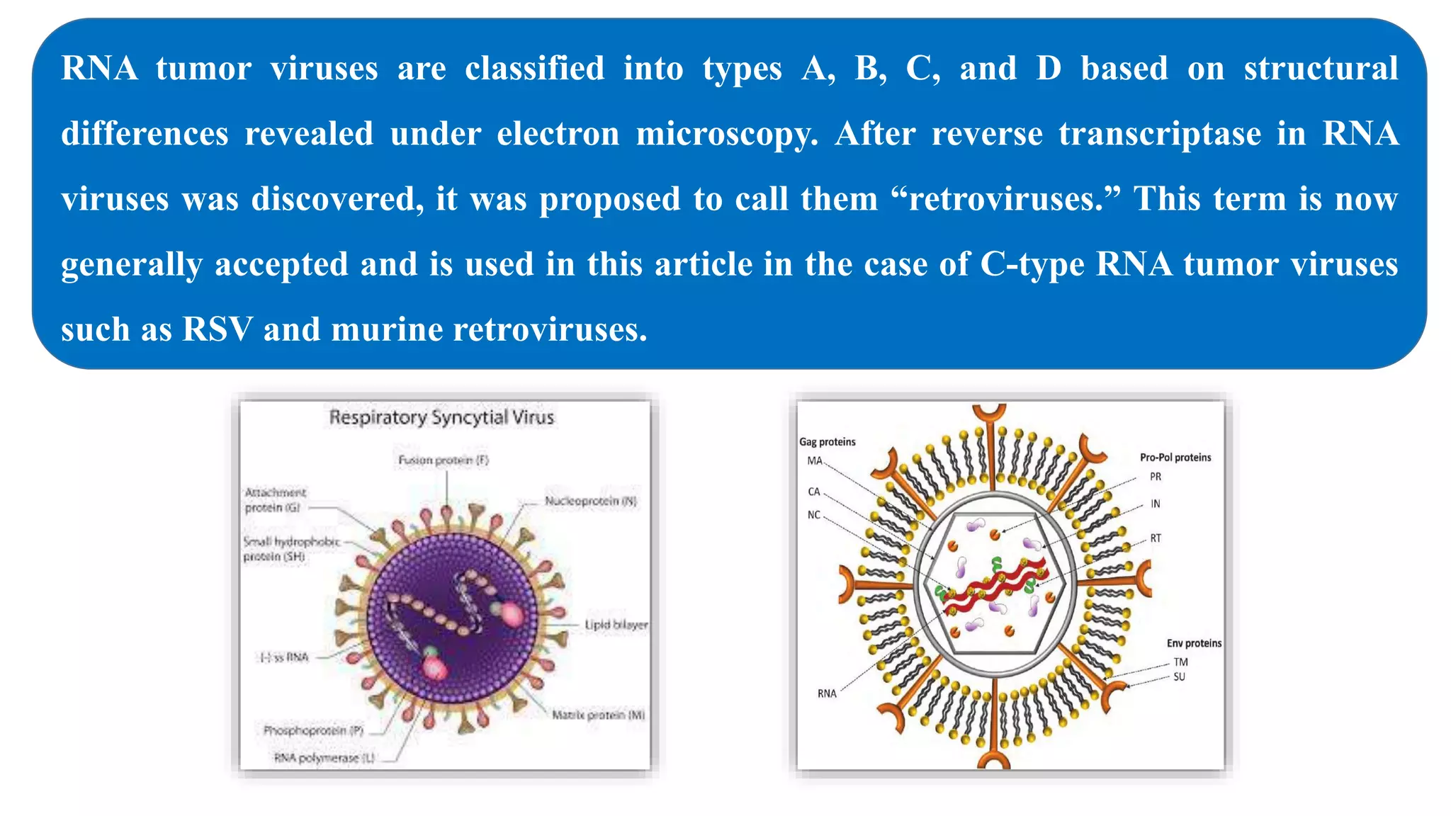 Reverse Transcriptase New Project.pptx