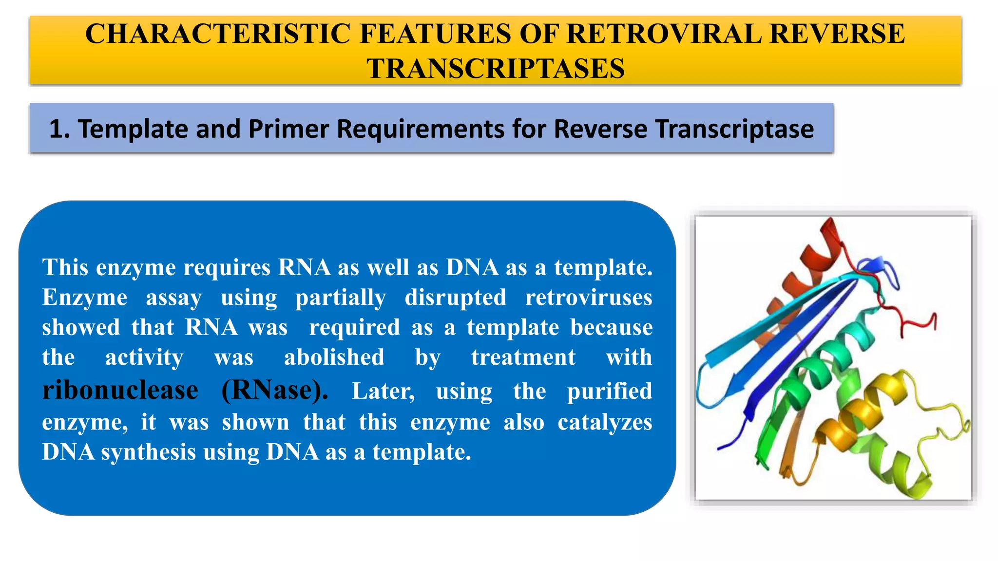 Reverse Transcriptase New Project.pptx