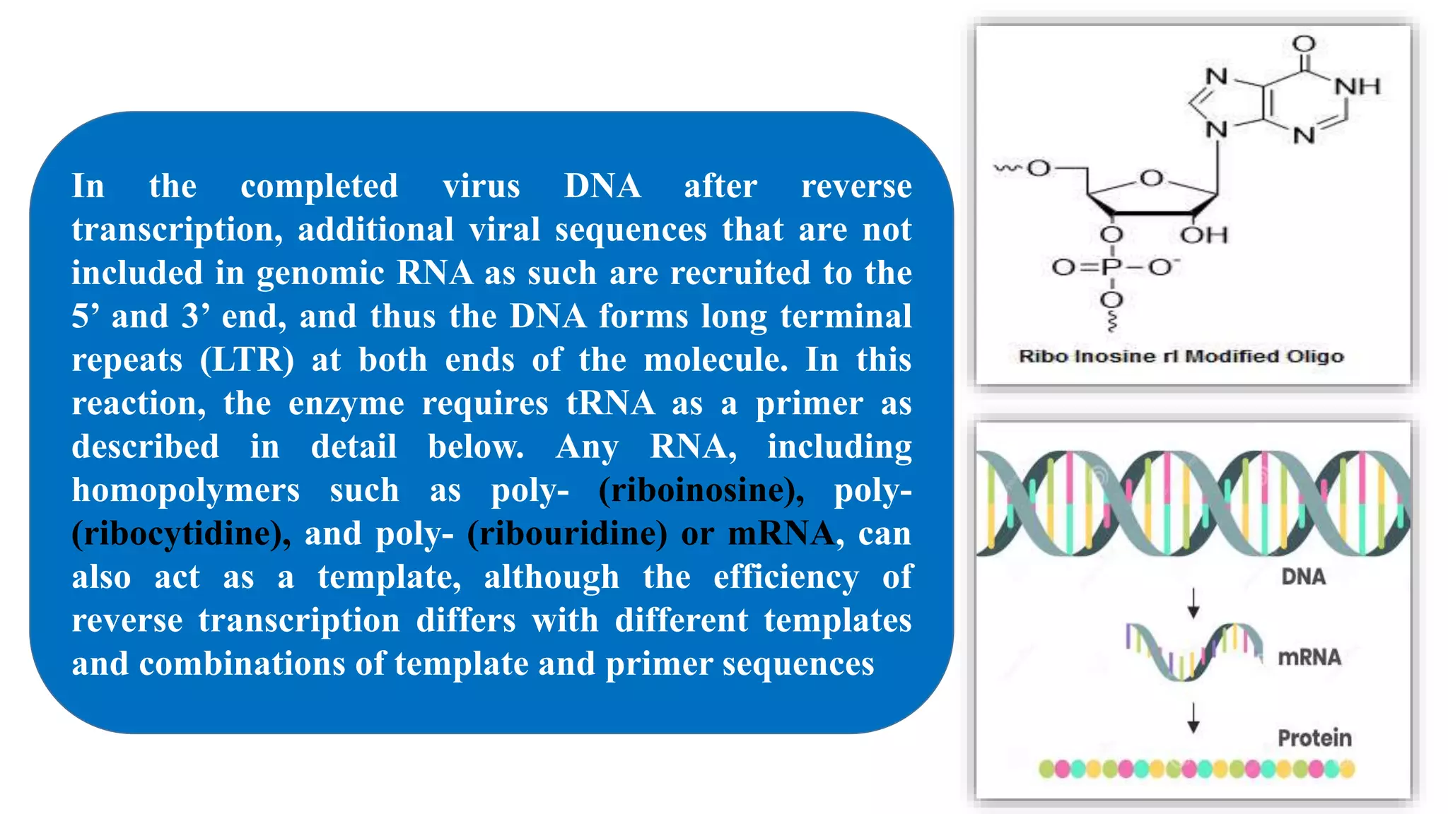 Reverse Transcriptase New Project.pptx