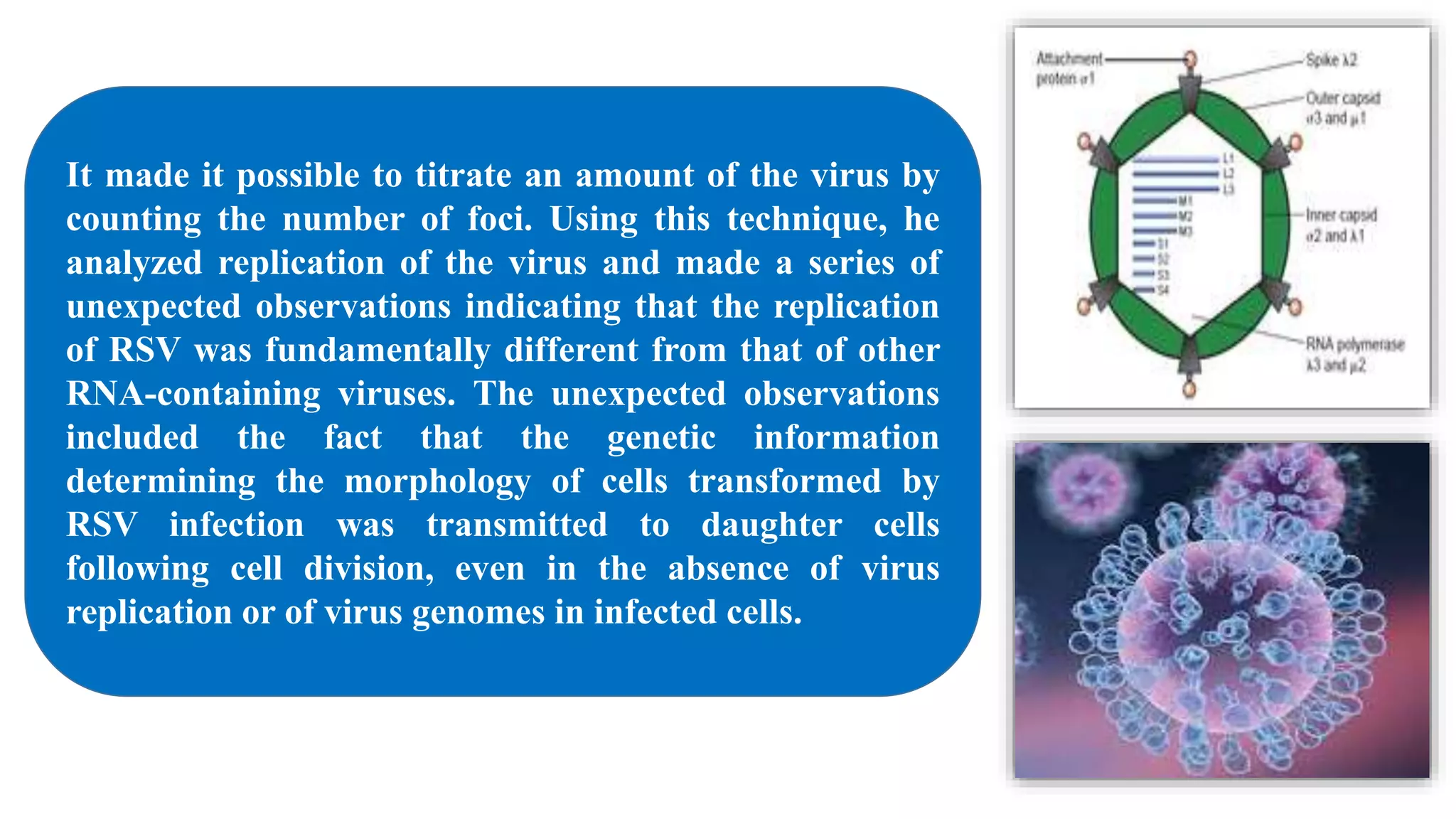Reverse Transcriptase New Project.pptx