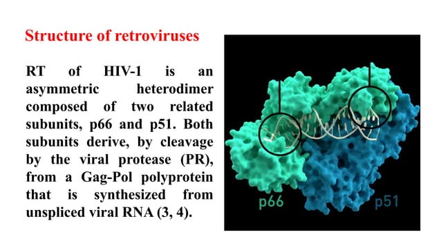 Reverse Transcriptase New Project.pptx