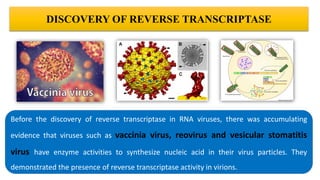 Reverse Transcriptase New Project.pptx