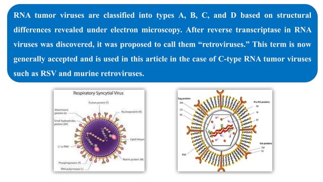 Reverse Transcriptase New Project.pptx