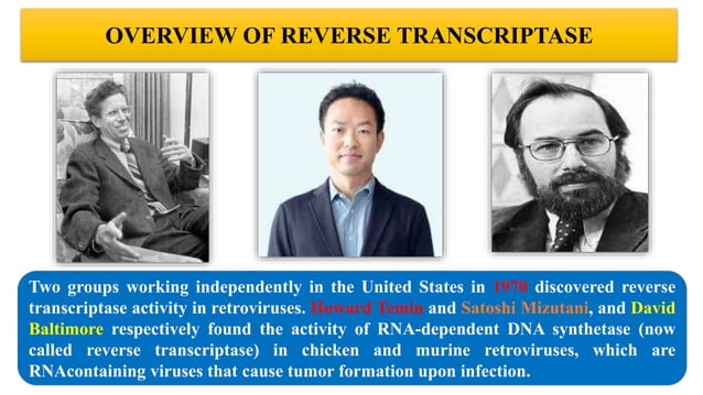 Reverse Transcriptase New Project.pptx
