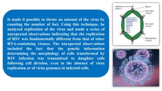 Reverse Transcriptase New Project.pptx