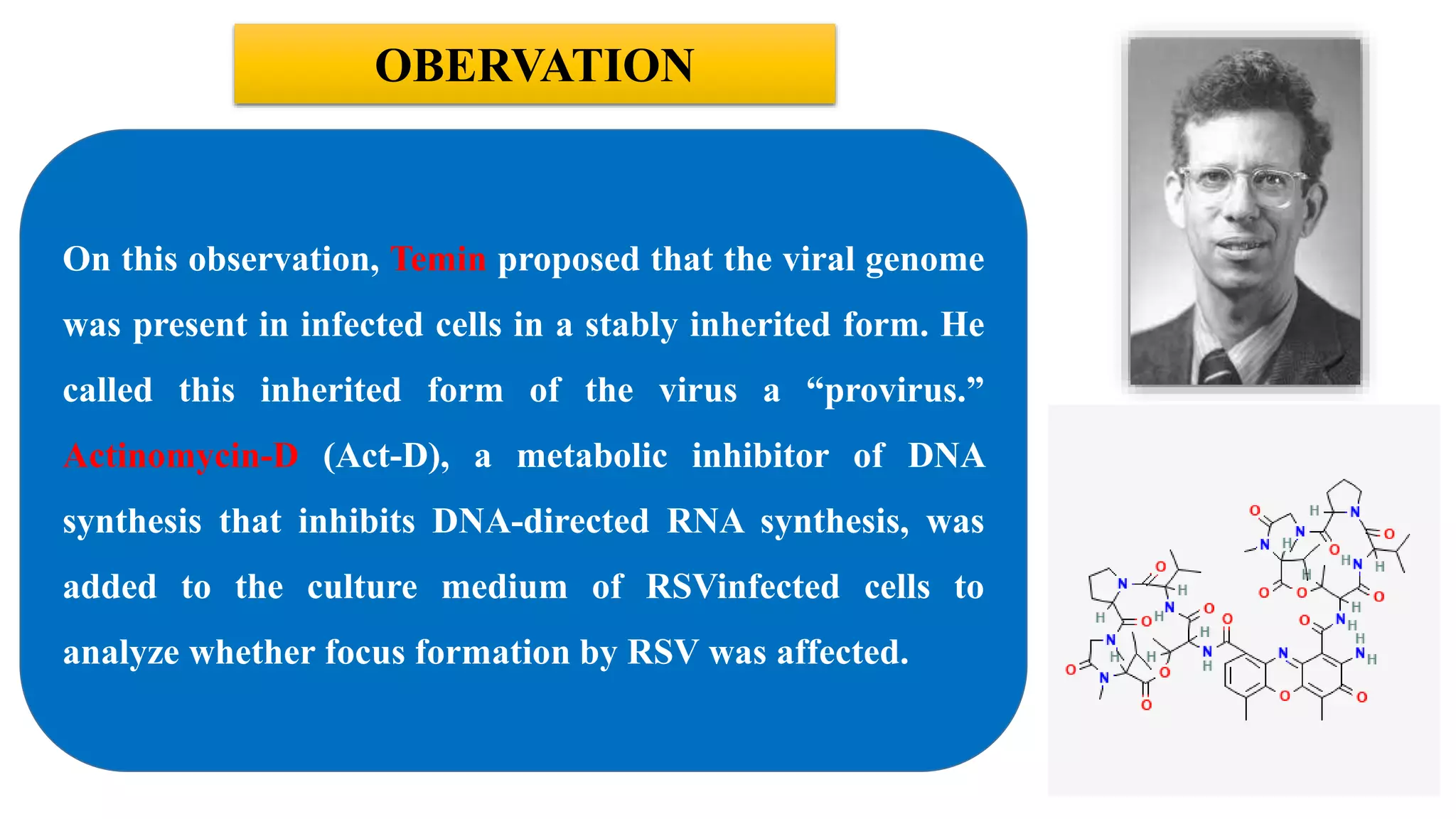 Reverse Transcriptase New Project.pptx | Free Download