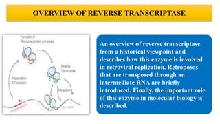 Reverse Transcriptase New Project.pptx