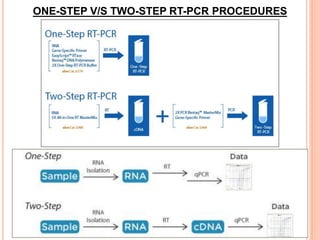Reverse transcriptase polymerase chain reaction | PPTX