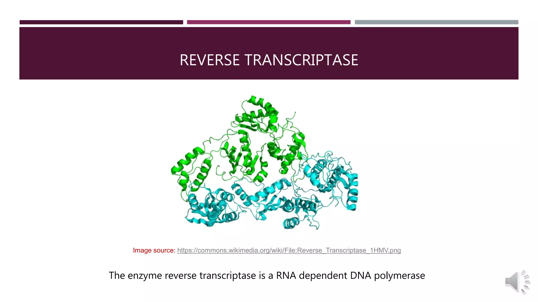 Reverse Transcription of RNA | PPTX