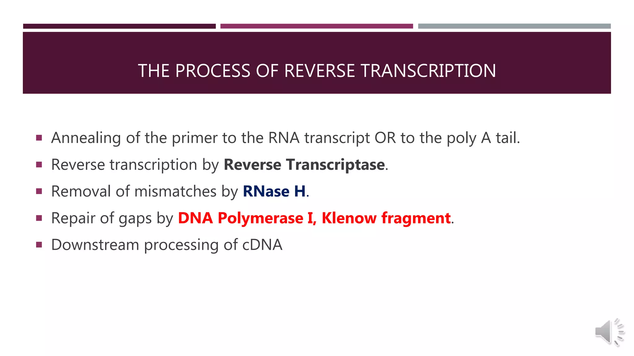 Reverse Transcription of RNA | PPTX