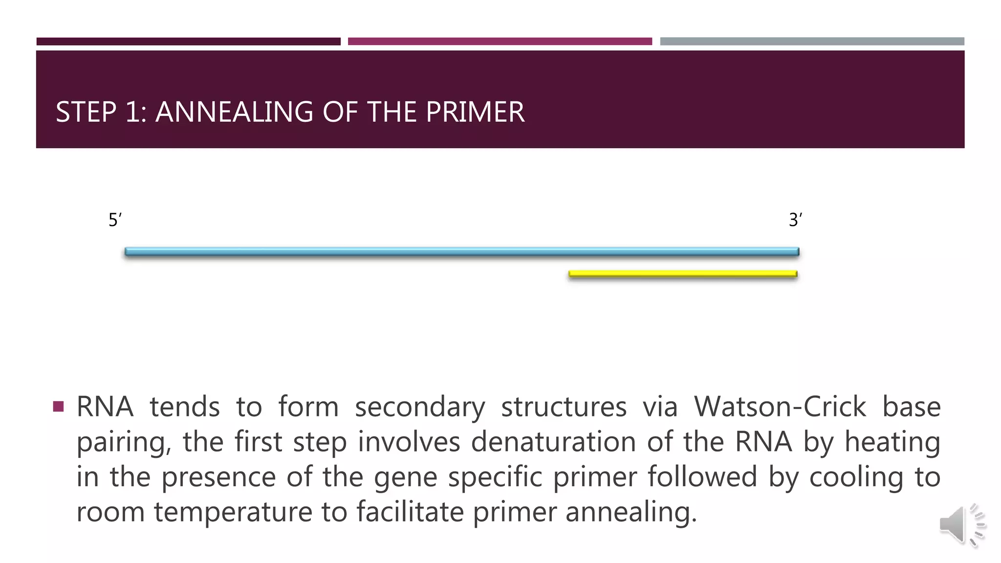 Reverse Transcription of RNA | PPTX