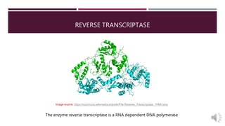 Reverse Transcription of RNA | PPTX