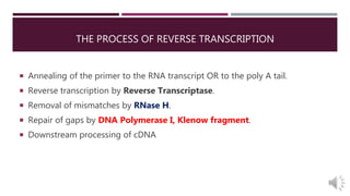 Reverse Transcription of RNA | PPTX