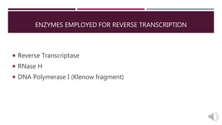 Reverse Transcription of RNA | PPTX