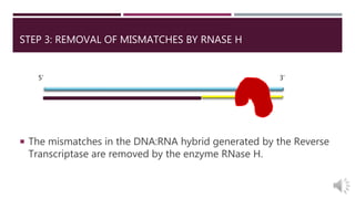 Reverse Transcription of RNA | PPTX