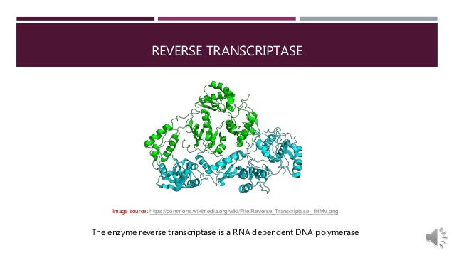 Reverse Transcription of RNA