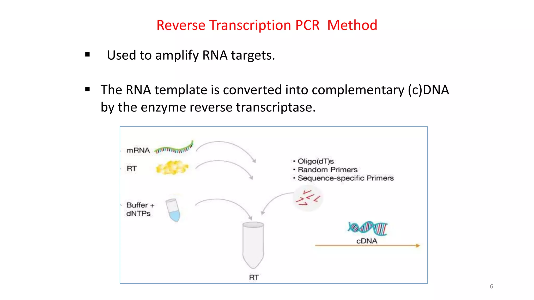 Reverse Transcription PCR | PPT