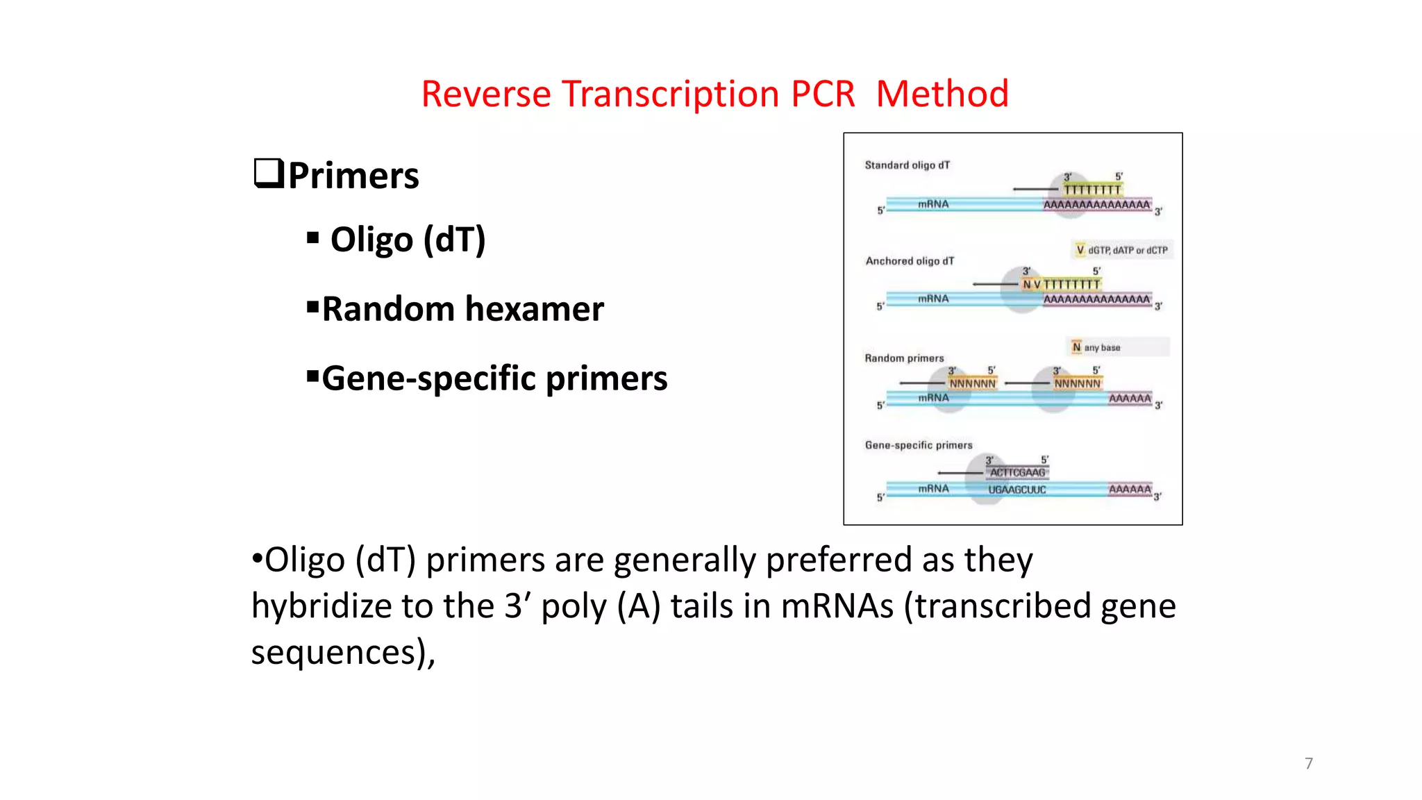 Reverse Transcription PCR | PPT
