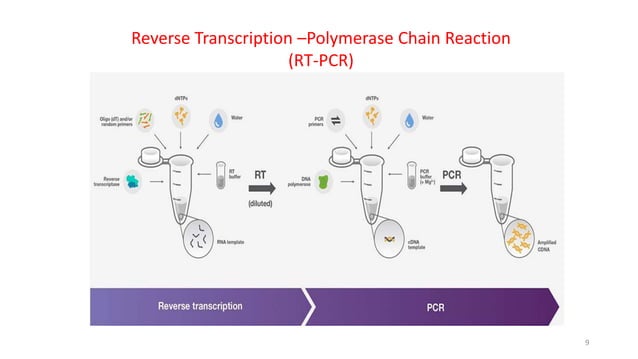 Reverse Transcription PCR | PPT