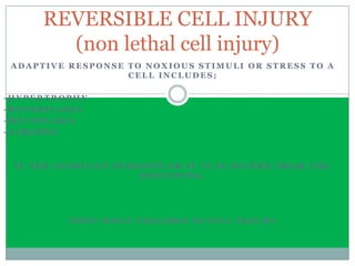 Reversible cell injury | PPTX