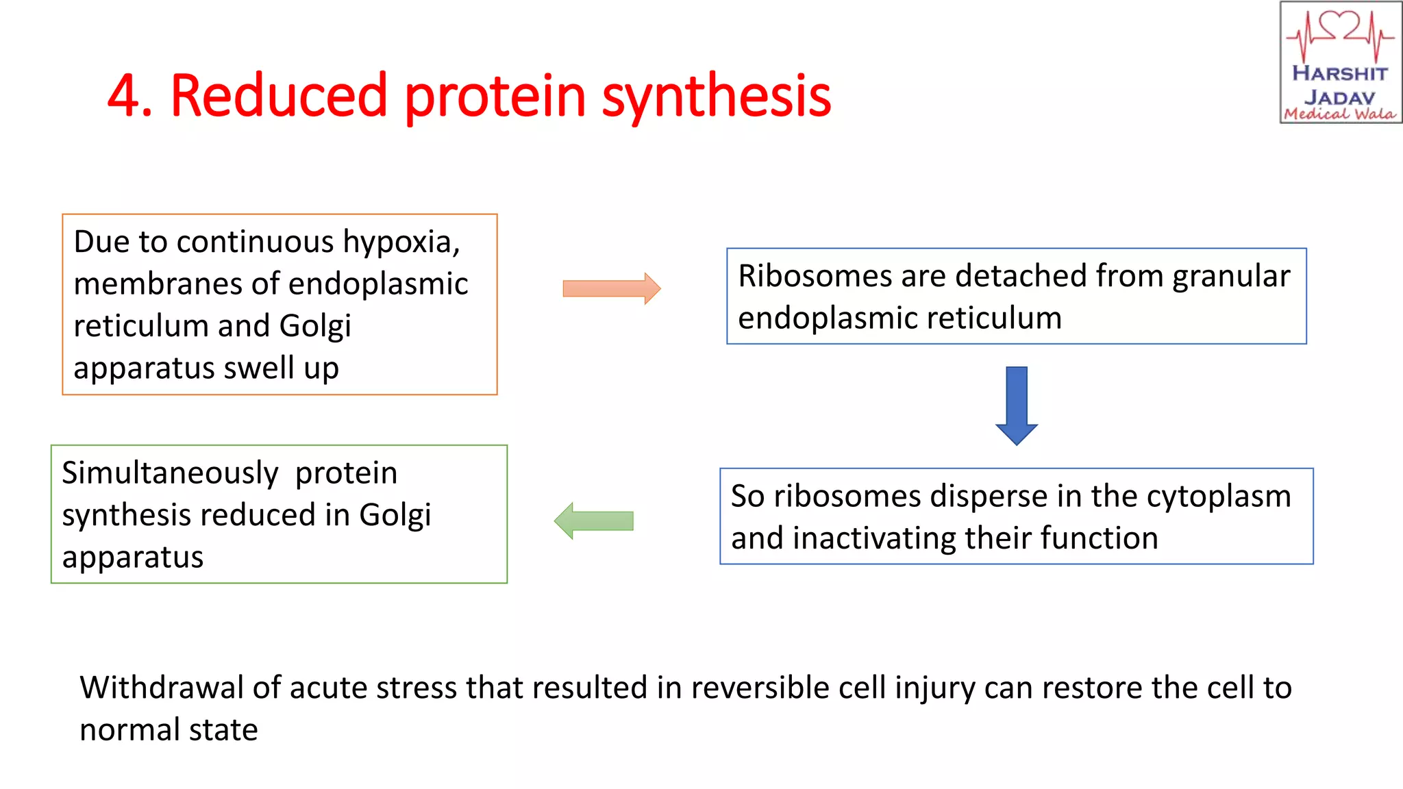 Reversible cell injury I Pathology | PPTX