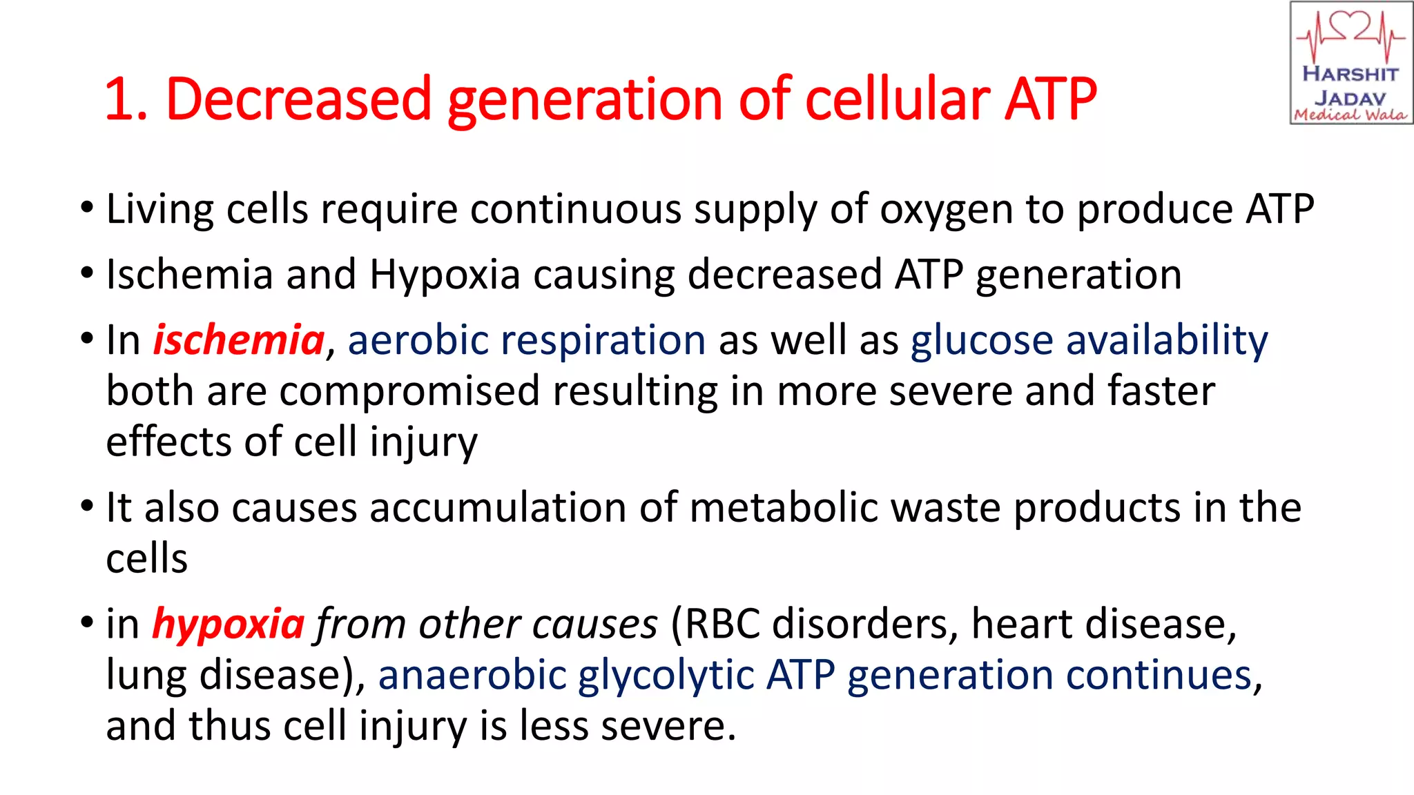 Reversible cell injury I Pathology | PPTX
