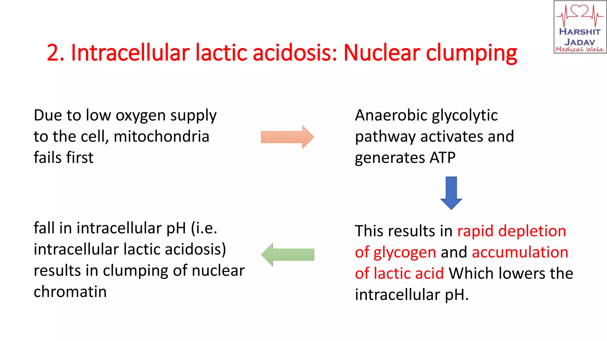 Reversible cell injury I Pathology | PPTX