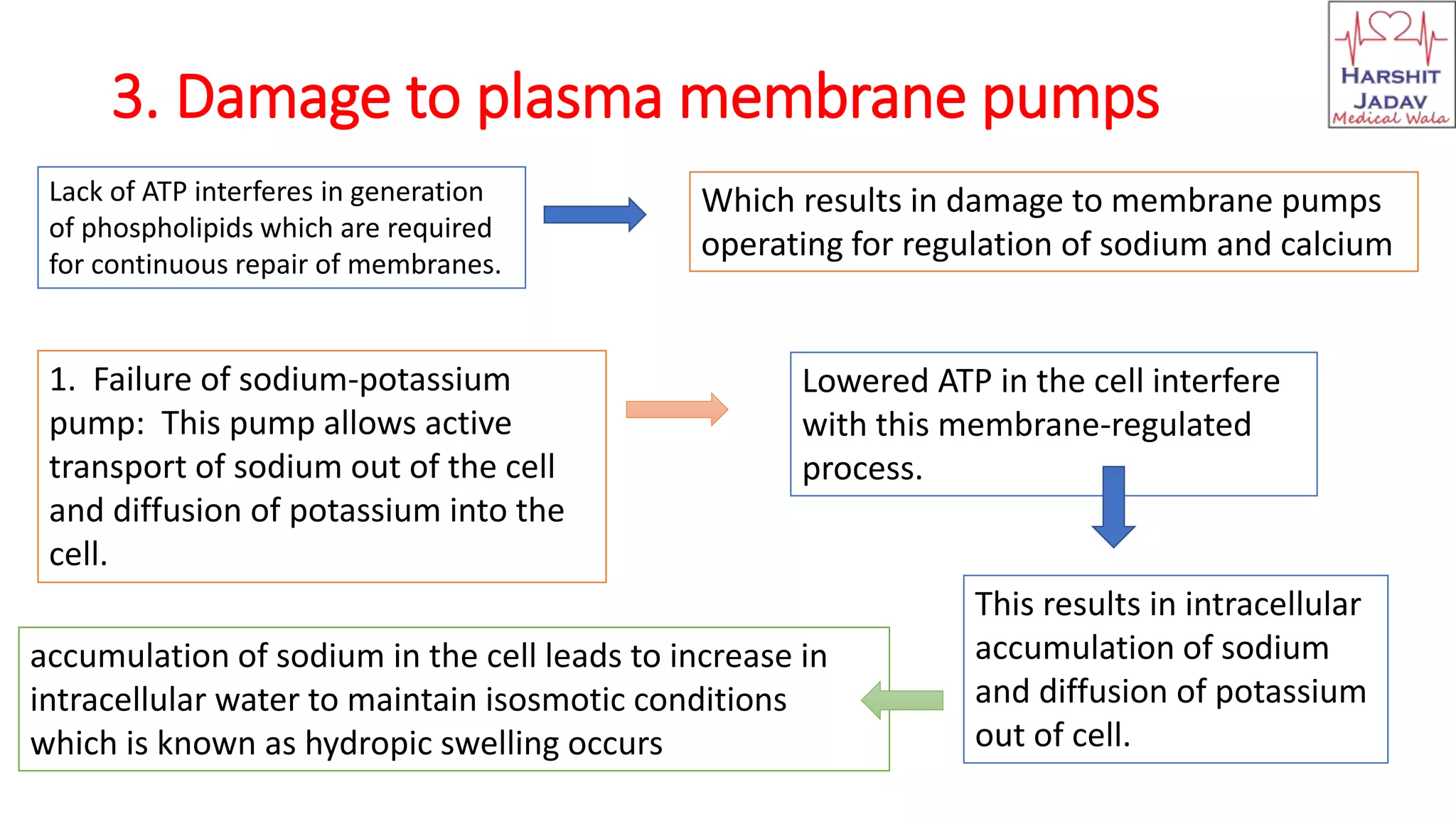Reversible cell injury I Pathology | PPTX