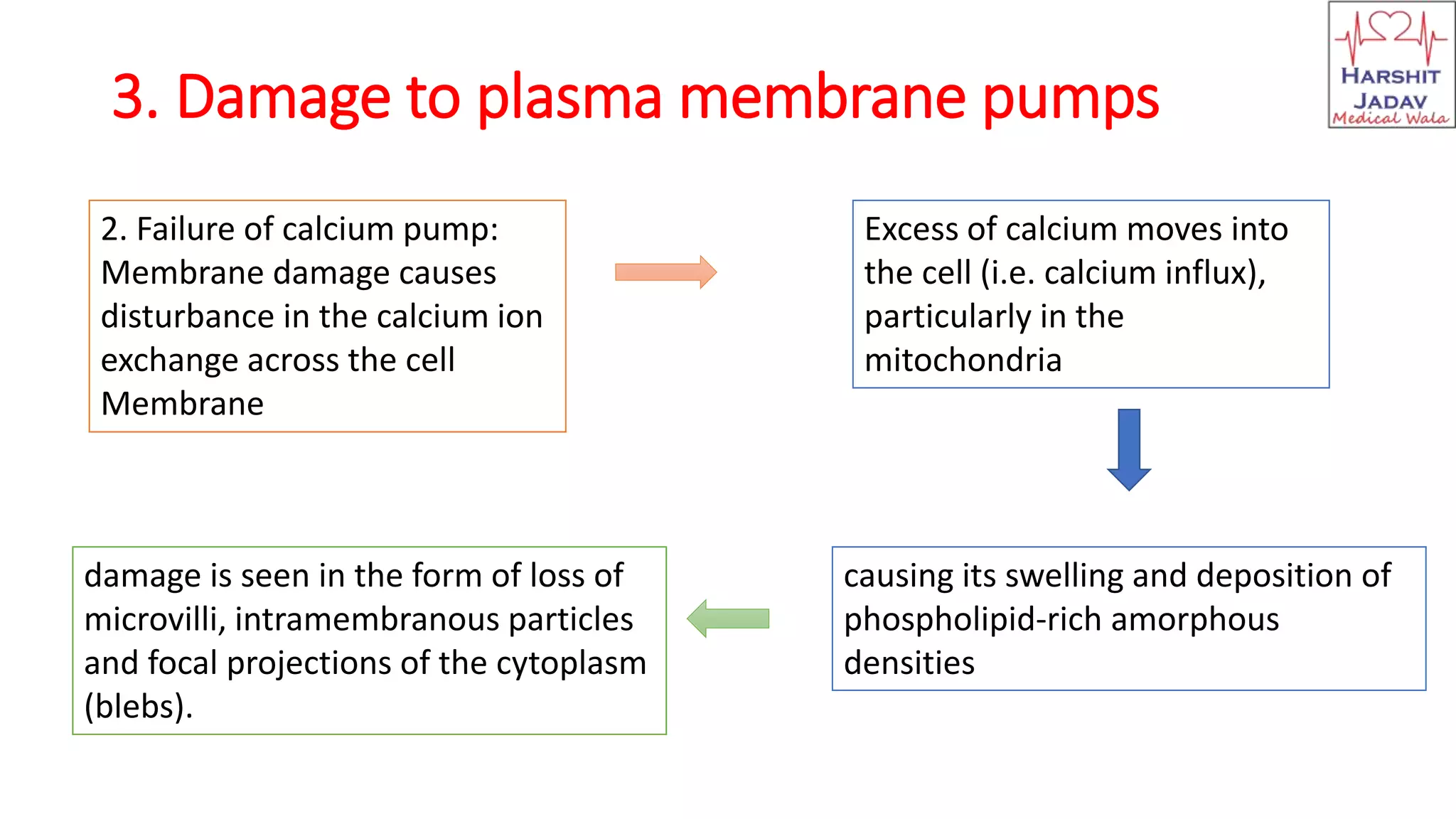Reversible cell injury I Pathology | PPTX
